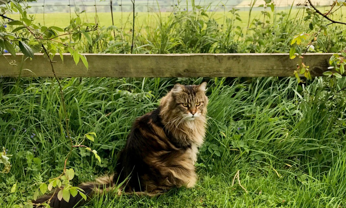 CHARLOTTE-ANNE FIDLER