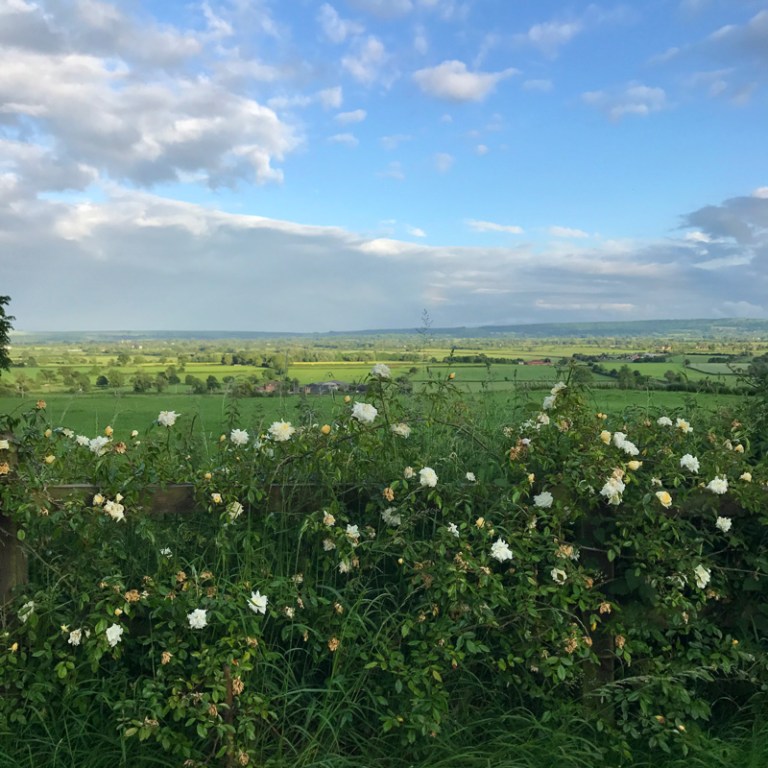 Home – CHARLOTTE-ANNE FIDLER