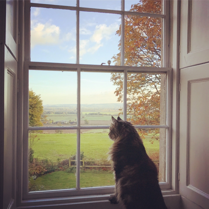 Home – CHARLOTTE-ANNE FIDLER