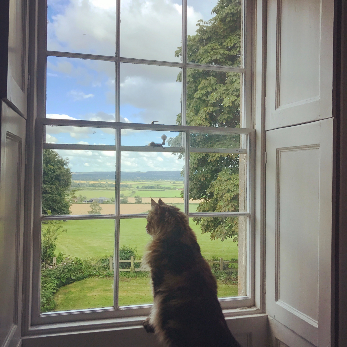 Home – CHARLOTTE-ANNE FIDLER