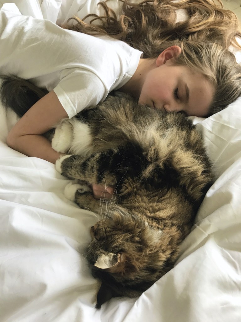 Home – CHARLOTTE-ANNE FIDLER