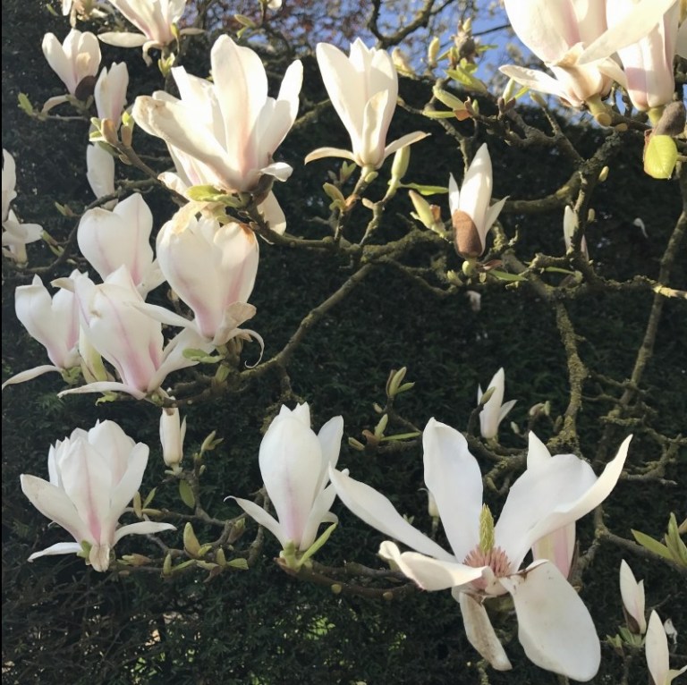 Blog – CHARLOTTE-ANNE FIDLER