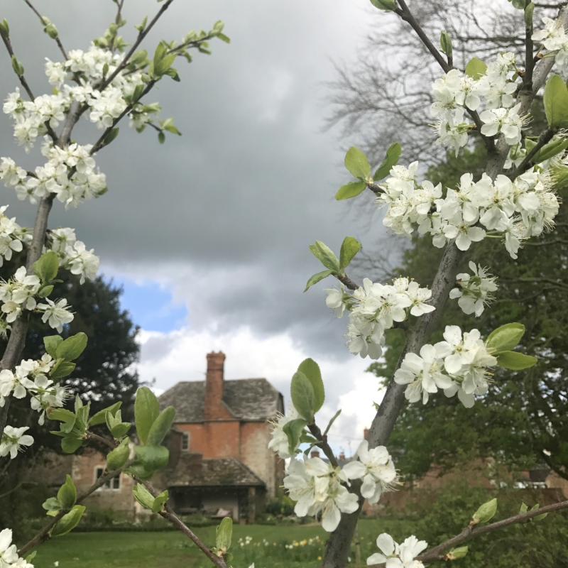 The Whites of Spring – CHARLOTTE-ANNE FIDLER