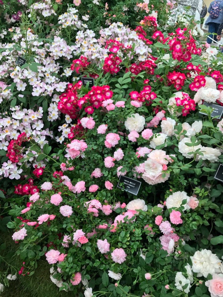 Blog – CHARLOTTE-ANNE FIDLER