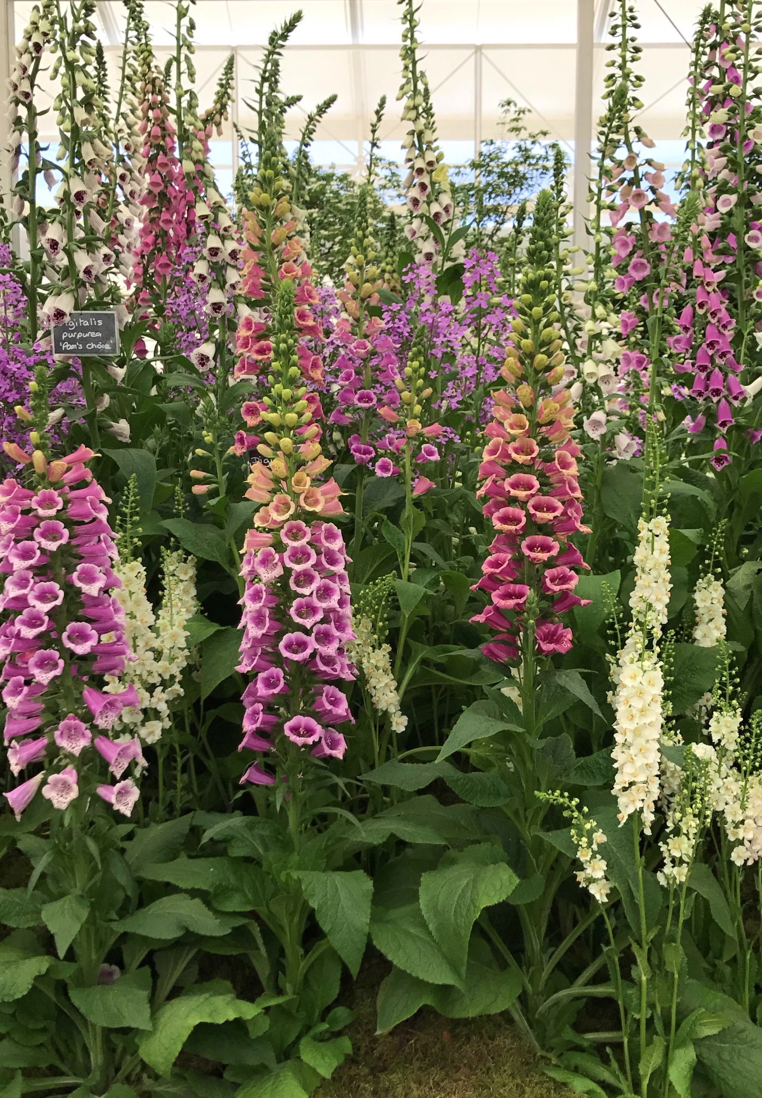 Blog – CHARLOTTE-ANNE FIDLER