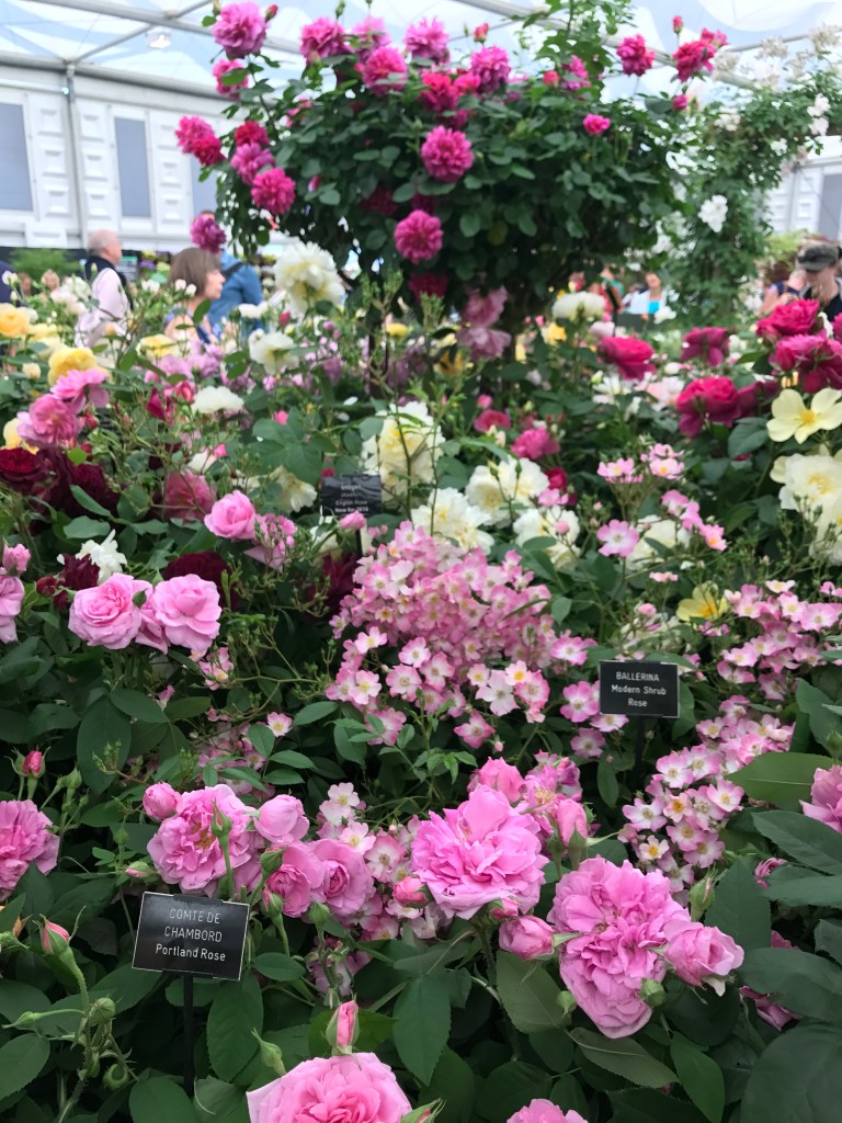 Blog – CHARLOTTE-ANNE FIDLER