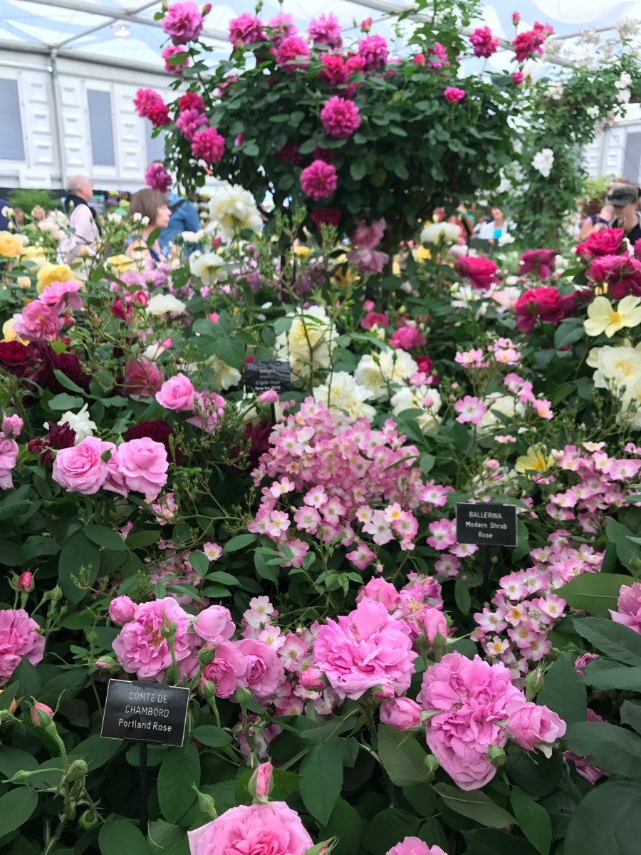 Blog – CHARLOTTE-ANNE FIDLER