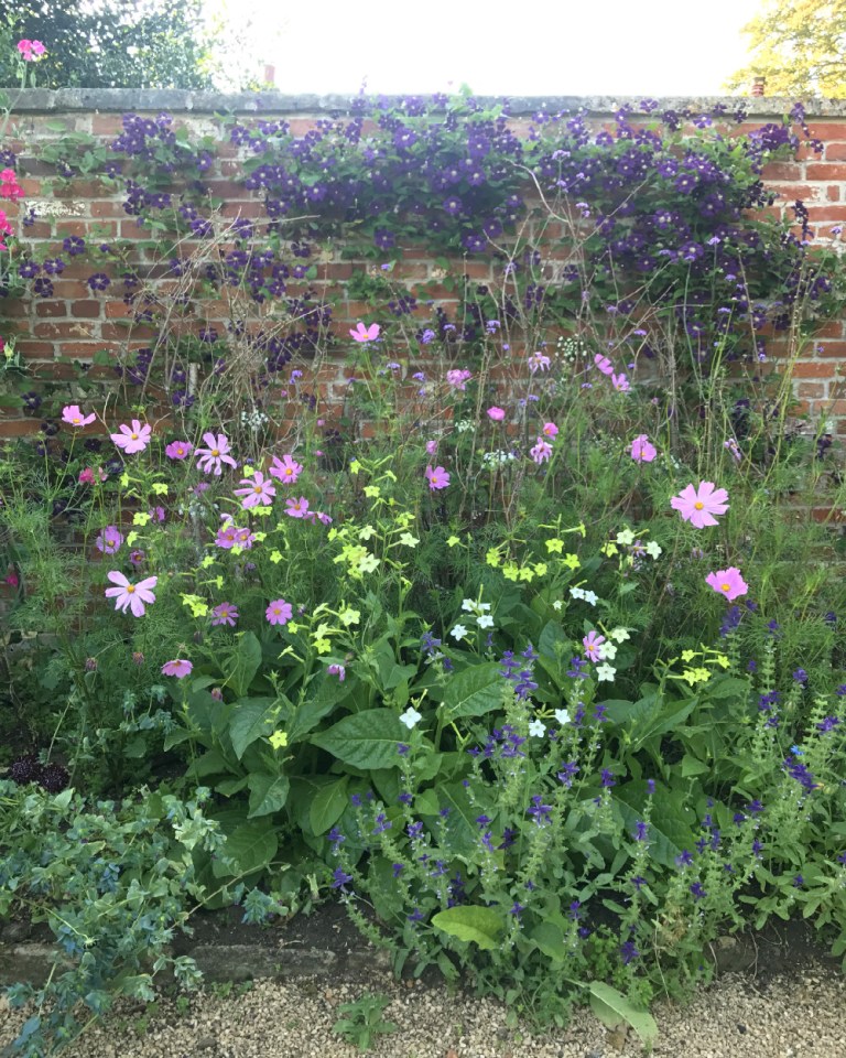 Blog – CHARLOTTE-ANNE FIDLER